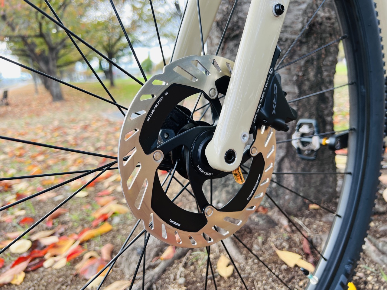 2309D54A-C749-48A2-BC7C-BD90AE646271 | Climb cycle sports