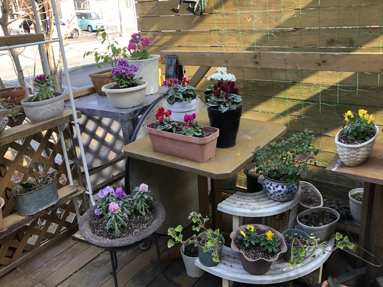 IMG_7925 | Climb cycle sports